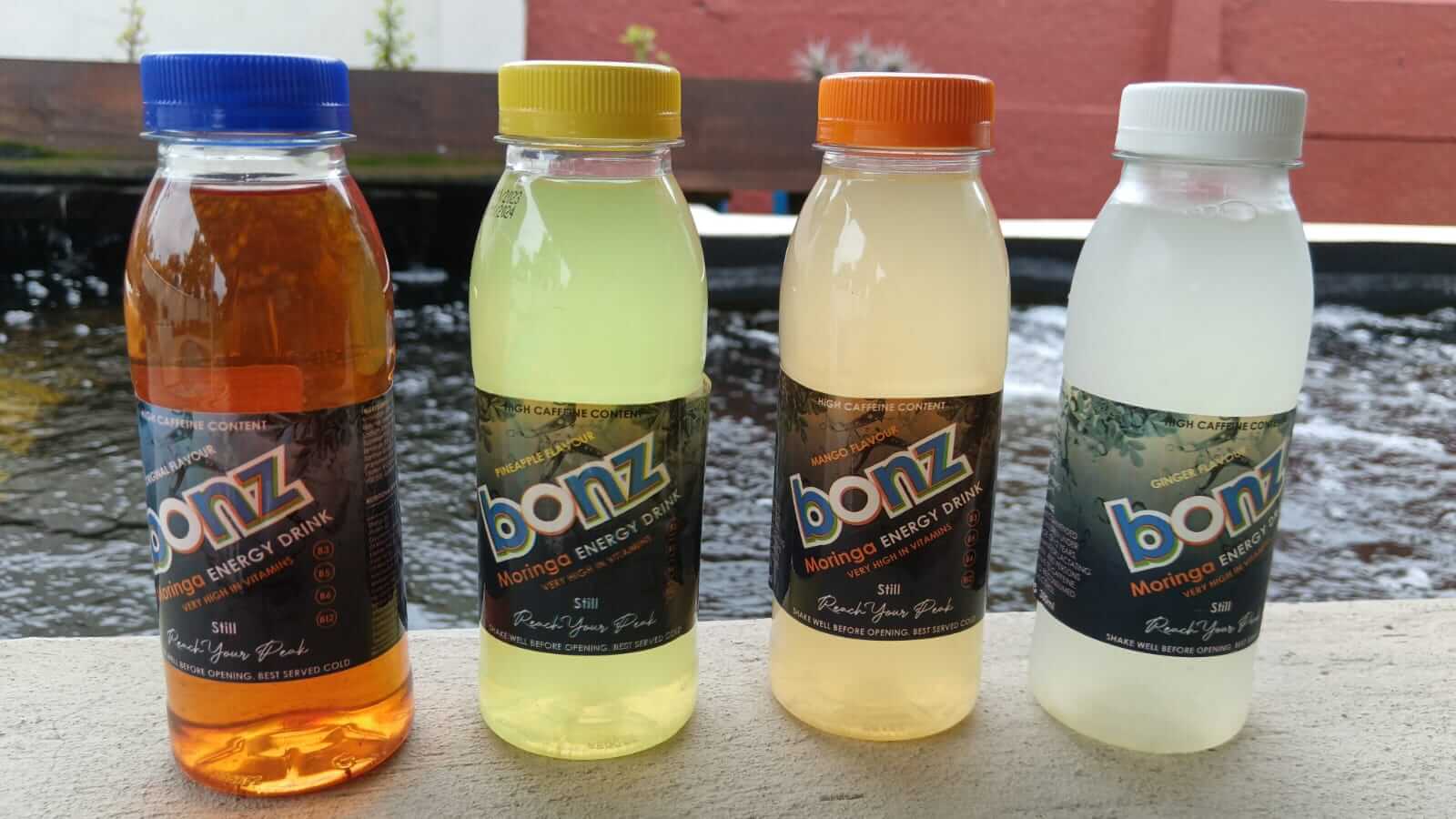 Gallery – Bonz